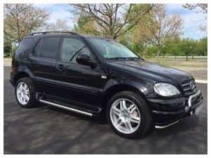 超稀少絶滅モデル W163 AMG ML55ベース 本物BRABUS ML6.1コンプリート ！！ - IWASAKI